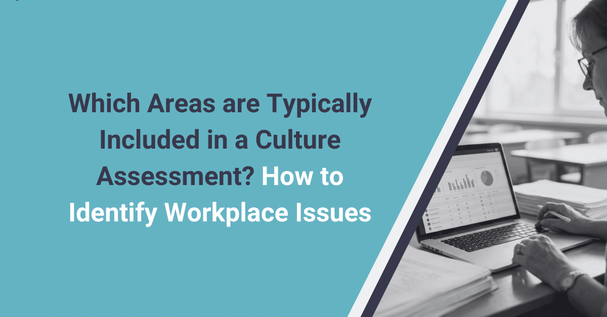 Which Areas Are Typically Included In A Culture Assessment? How To ...